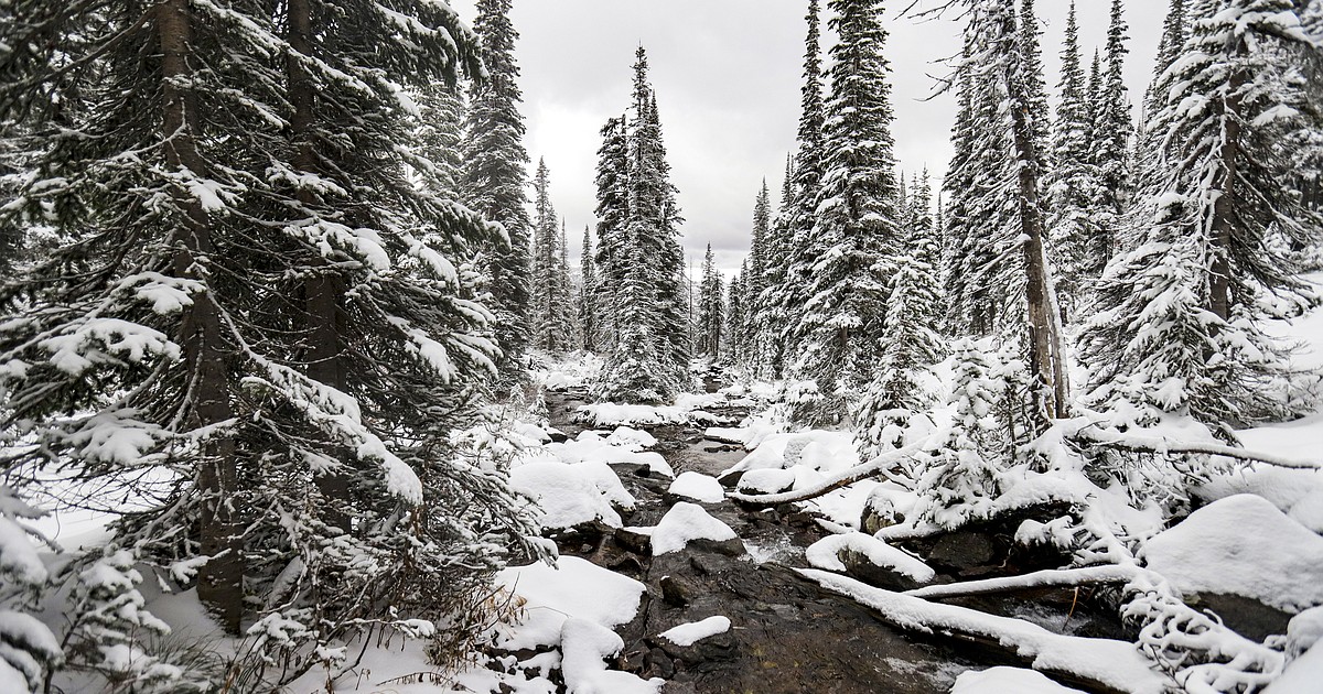 Winter could be colder, snowier than normal | Hungry Horse News