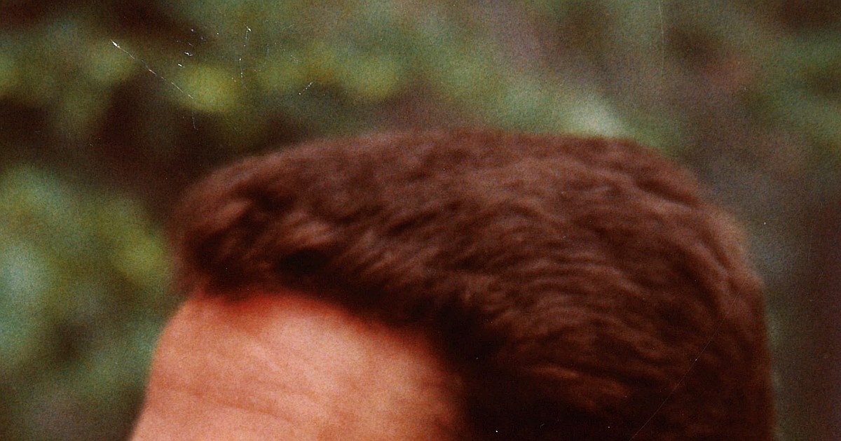 Edmund “Ed” Joseph Sedlmayer, 79 | Coeur d'Alene Press