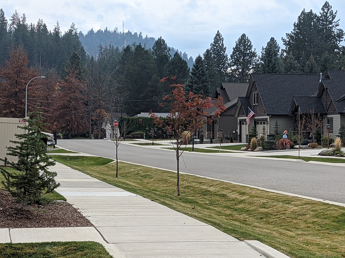 Turkey types on the real estate market | Coeur d'Alene Press