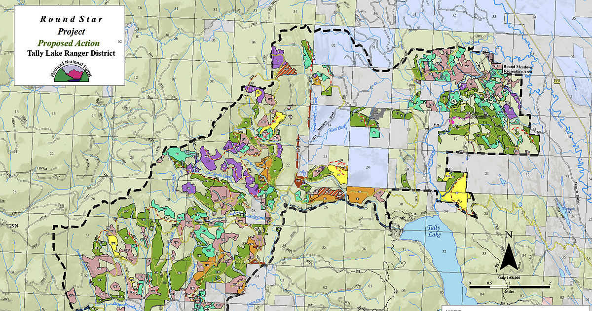 Round Star lawsuit a deterrence to forest management, logging companies say | Whitefish Pilot