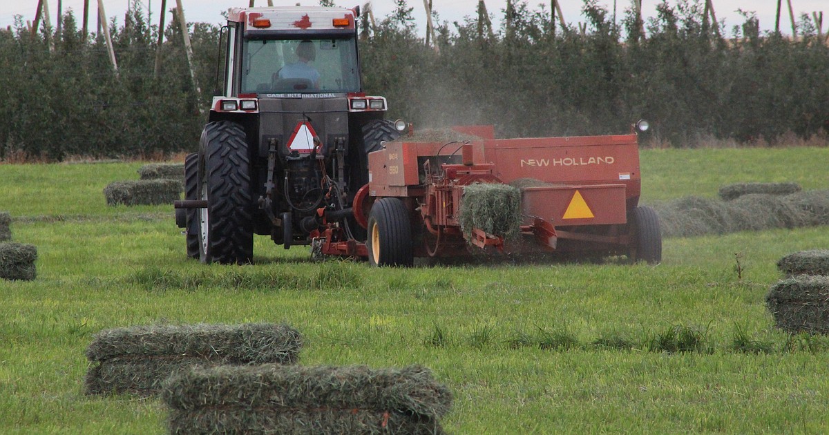 Northwest Hay Expo coming to Kennewick | Basin Business Journal ...