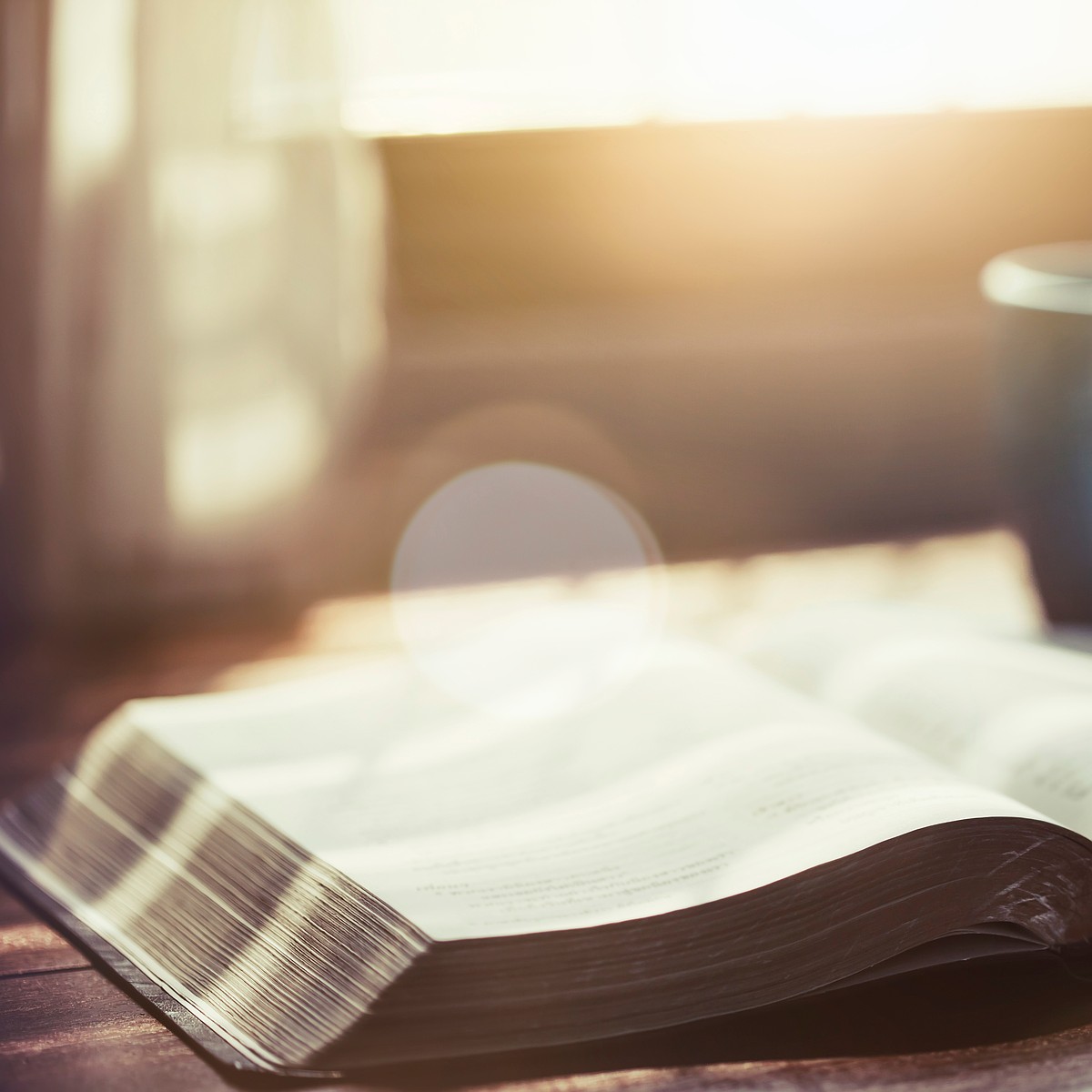 Unity in the body of Christ: Embracing differences through honor ...
