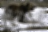 Wildlife experts analyze rare fatal bear attack in Glacier | Bonner ...