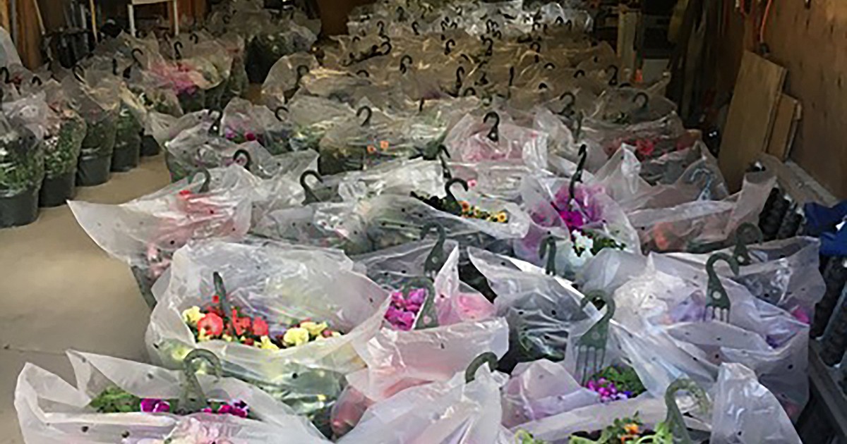 Rotary's Flowers for Futures program returns | Bonner County Daily Bee