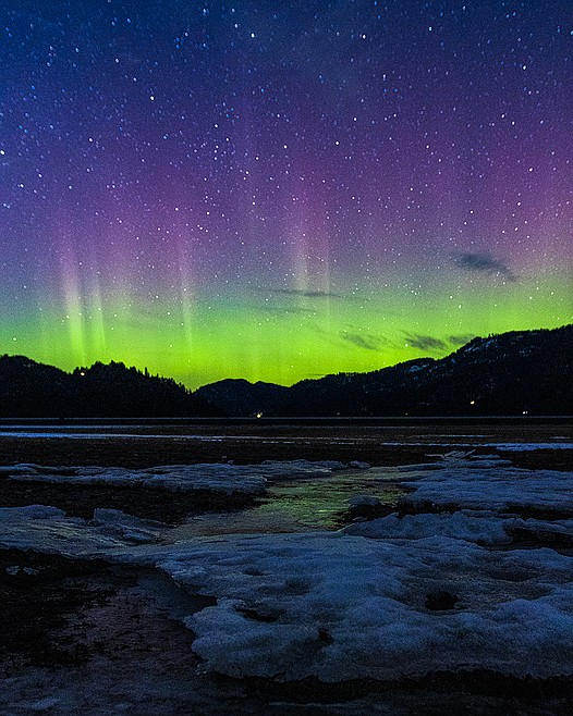 Northern Beauty | Bonner County Daily Bee