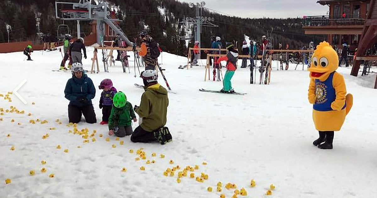 Duck Derby making a splash again | Bonner County Daily Bee