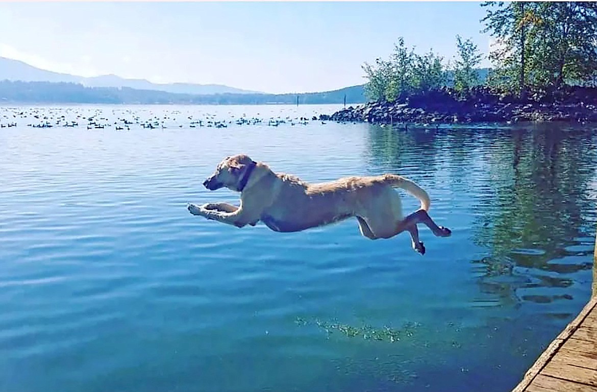 A leap into adventure | Bonner County Daily Bee