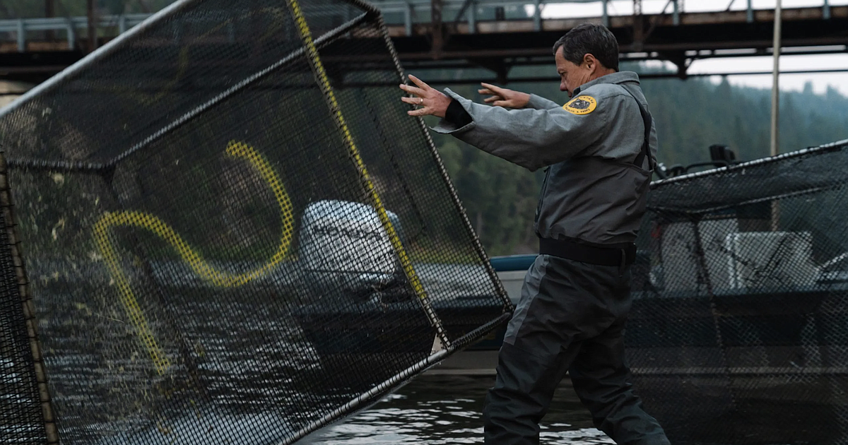 ‘Rock snot’ algae blooms hurting Kootenai River fishery | Daily Inter Lake