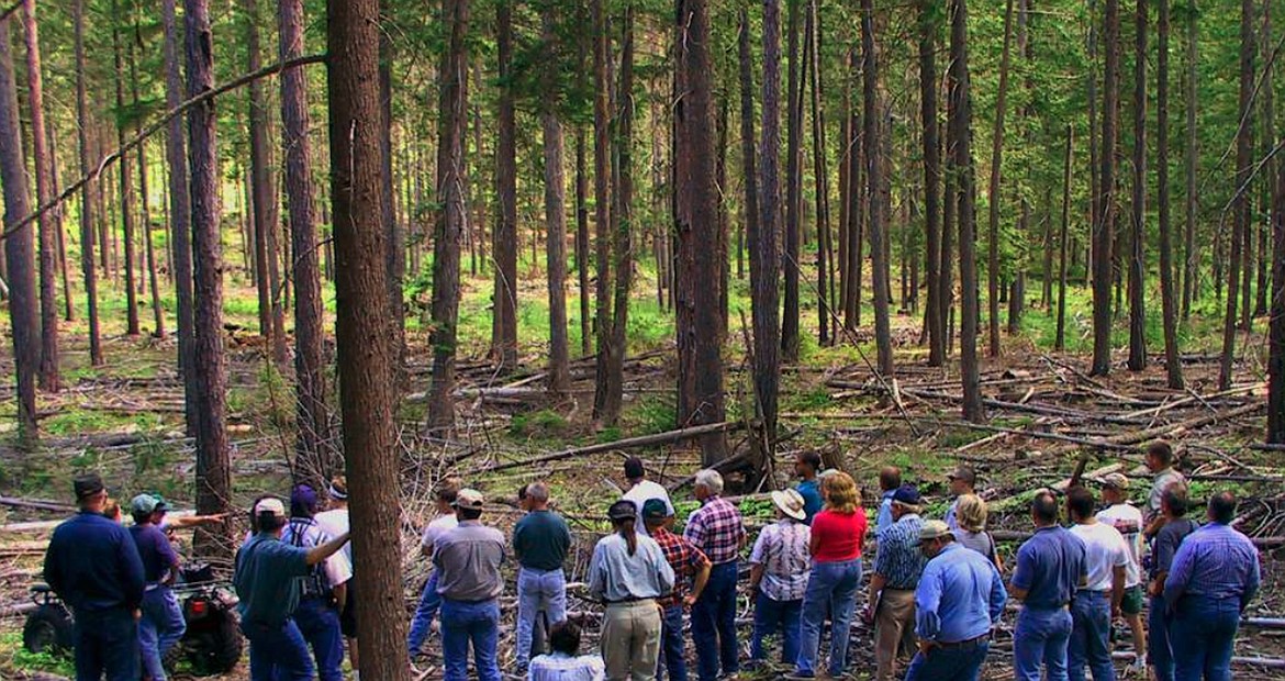 Forestry Shortcourse program announced | Bonner County Daily Bee
