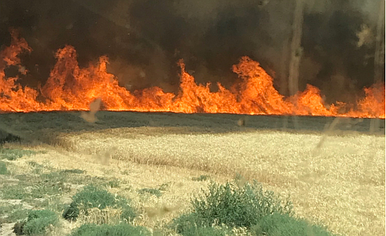 Heavy fire season predicted for state | Columbia Basin Herald