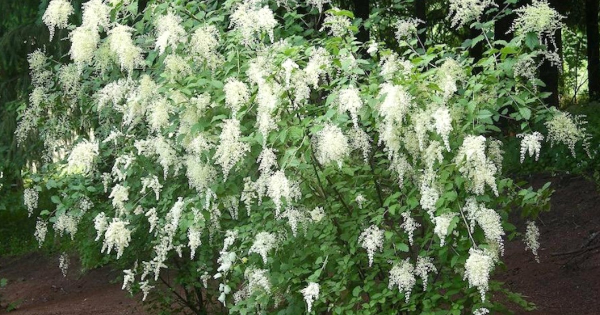 Ocean Spray creates dramatic displays | Bonner County Daily Bee