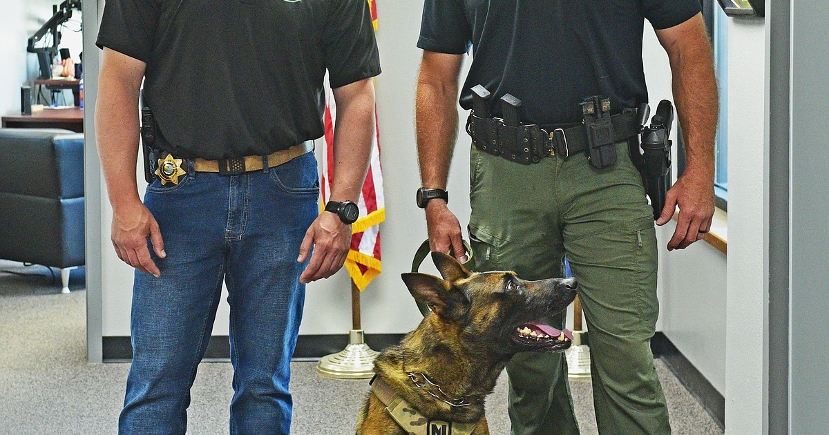 Regional SWAT team skillfully resolves conflicts as crime rate rises ...