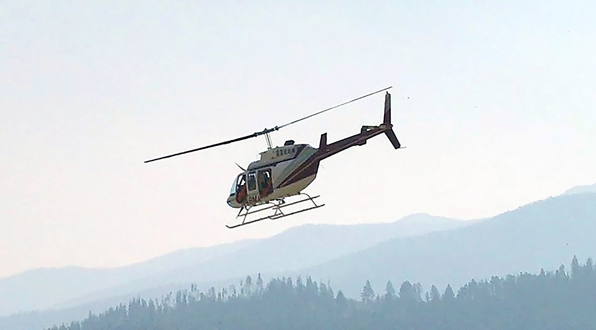 River and Sky: A fish biologist’s perspective of counting salmon from ...