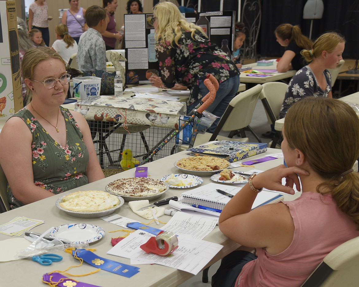 Interview Judging sets the stage for fair exhibits | Lake County Leader