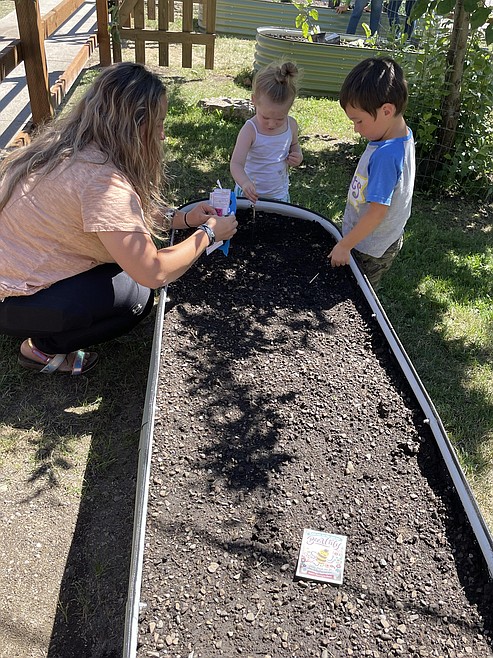 Community garden helping community grow | Bonner County Daily Bee