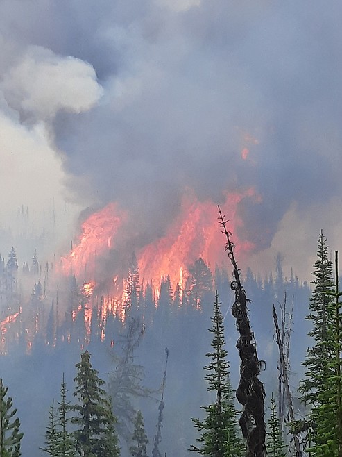 Weasel Fire grows to more than 2,500 acres, crosses into Canada ...