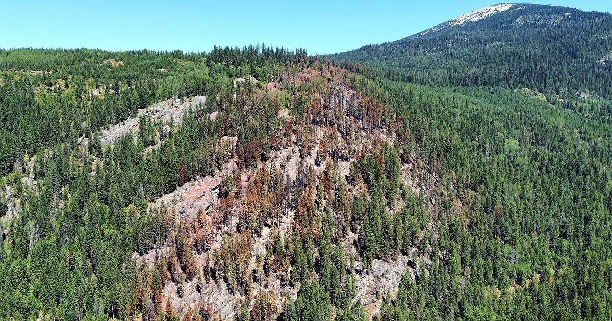 Lions Roar Fire 100% contained | Bonner County Daily Bee