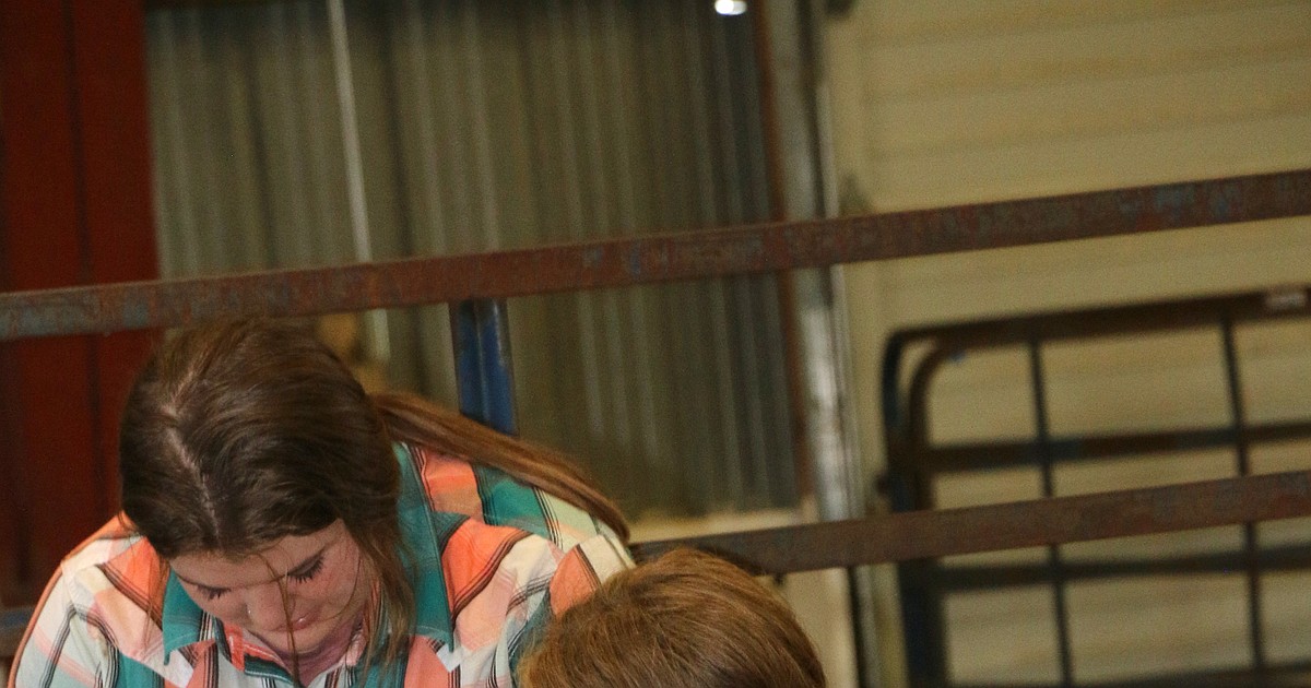 Bonner County Fair: Red, White and Bloom | Bonner County Daily Bee