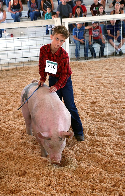 Bonner County Fair: Red, White and Bloom | Bonner County Daily Bee