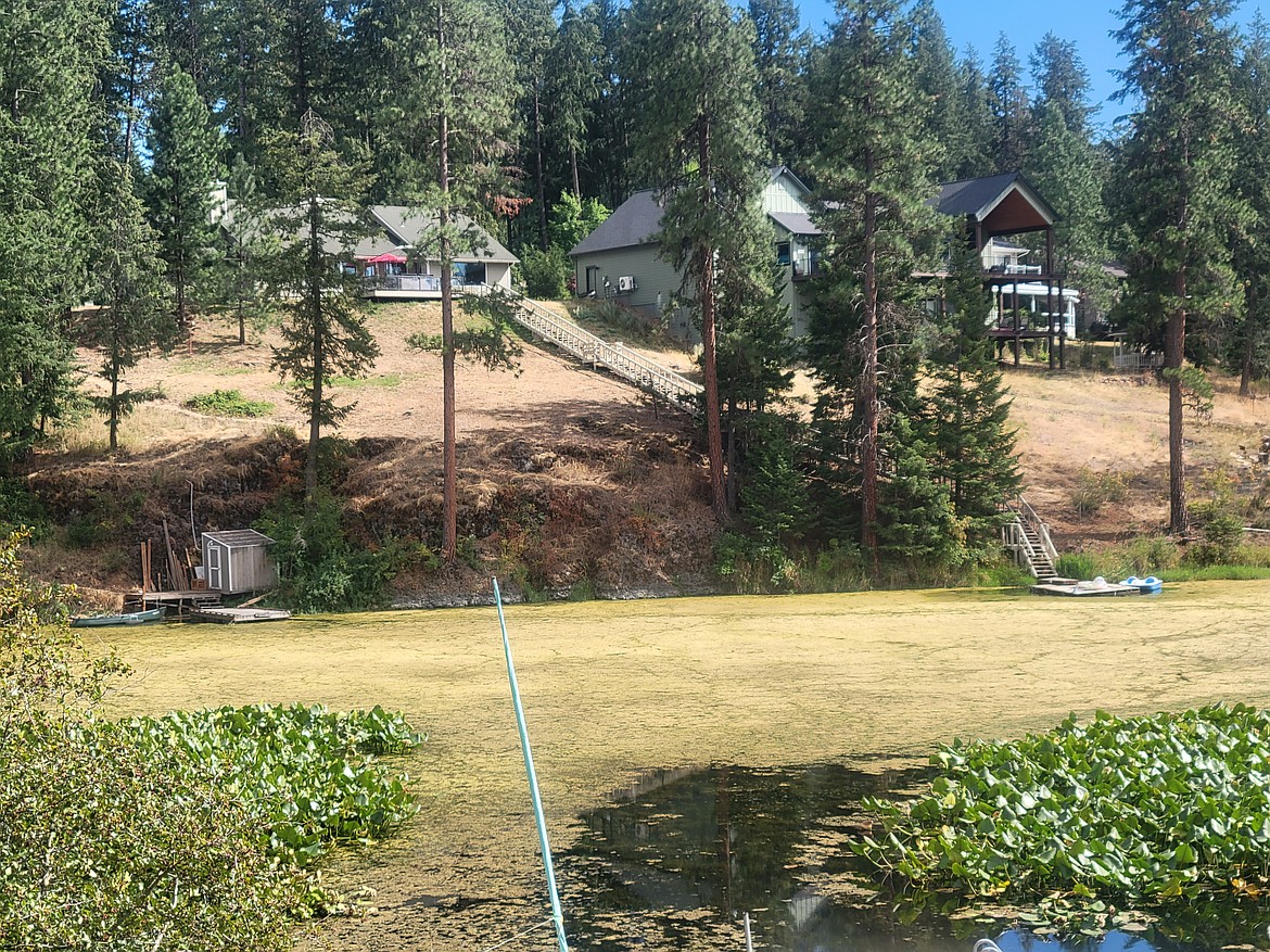 Health advisories issued for Avondale Lake and Morton Slough | Coeur d ...