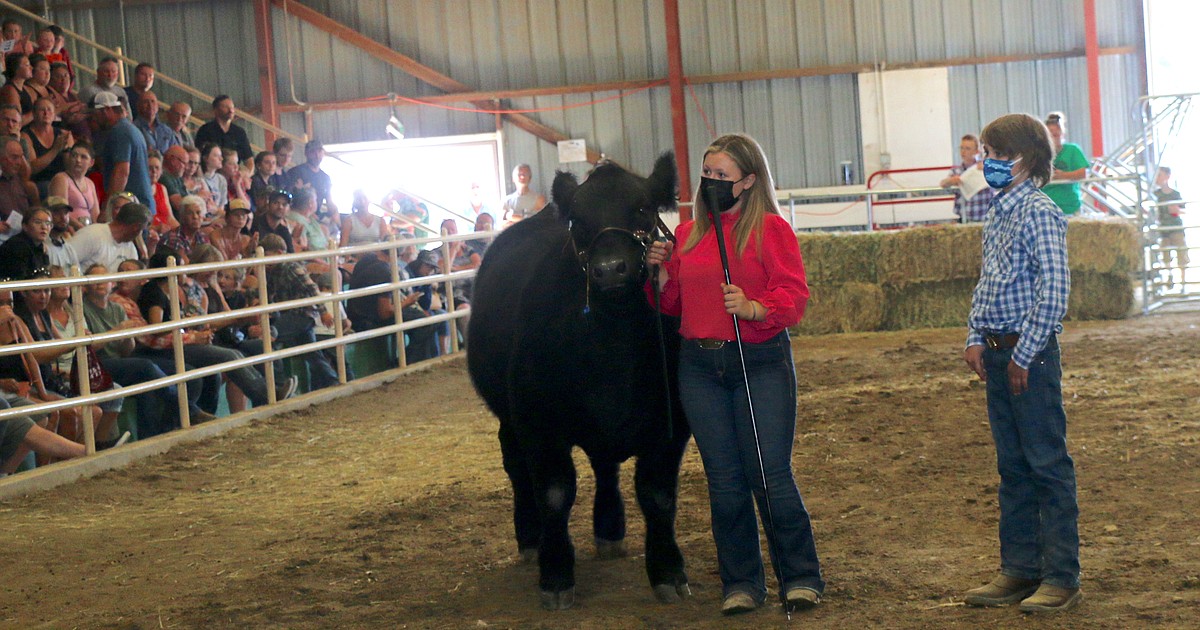 Red, white and bloomin' fun at the fair | Bonner County Daily Bee