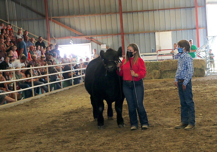 Bonner County Daily Bee