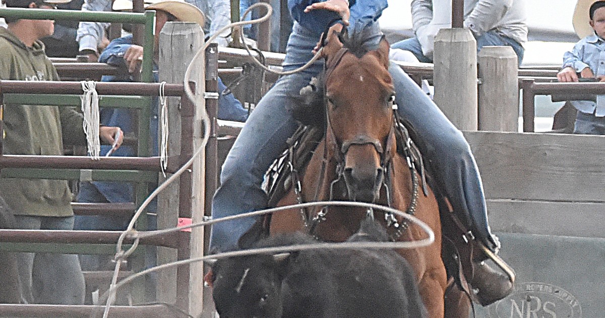 Polson's Mesa Bell to compete at Indian National Finals Rodeo | Lake ...