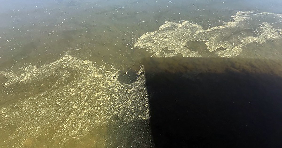 Health advisories issued for Spirit, Cocolalla lakes | Bonner County ...