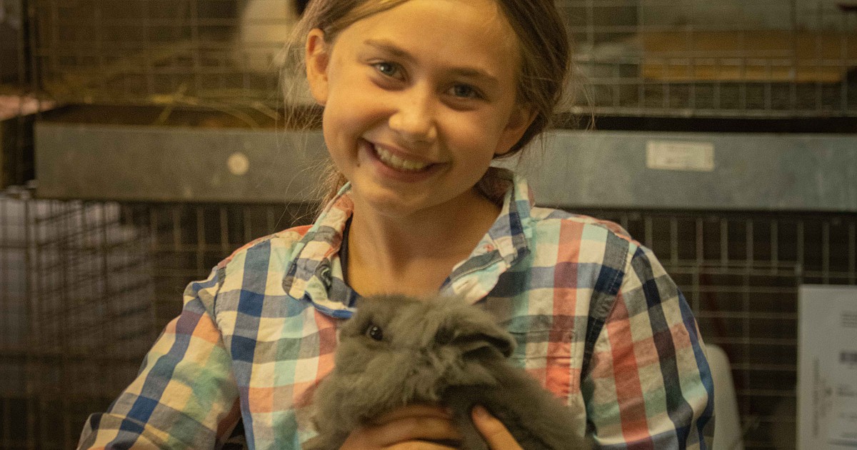 4-Hers show off their hard work at fair | Hagadone News Network