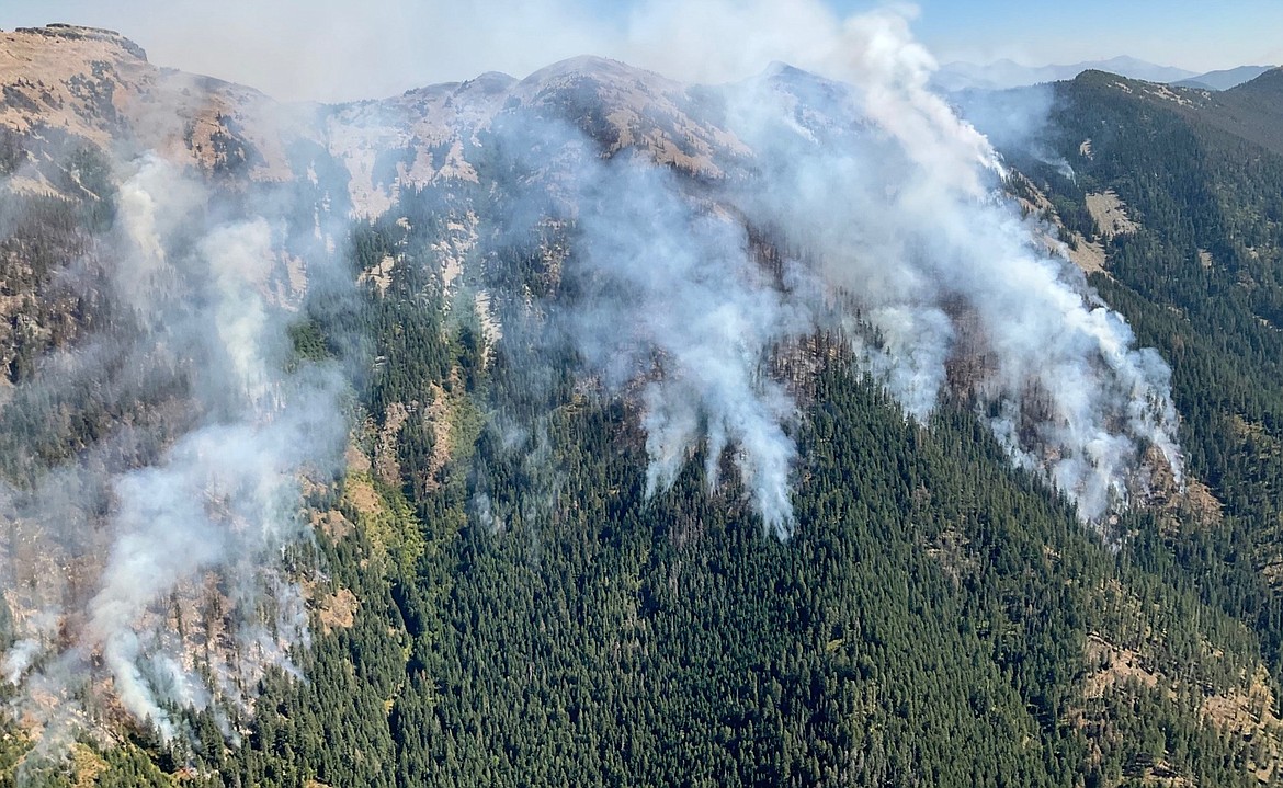 Type 2 team takes over as Bull Gin Fire Complex grows | Western News