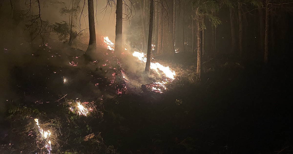 Bull Gin Complex fires continue to grow | Western News