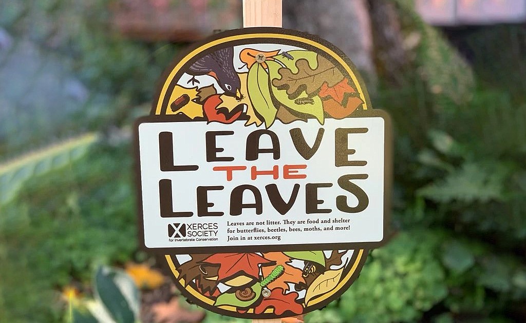 Master Gardener: Fall garden cleanup | Coeur d'Alene Press