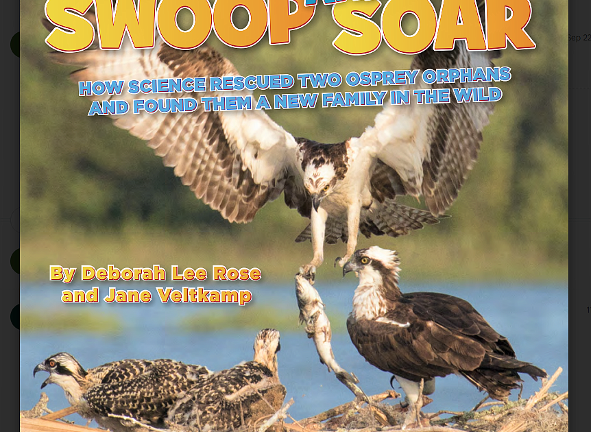 Saving Swoop and Soar | Coeur d'Alene Press