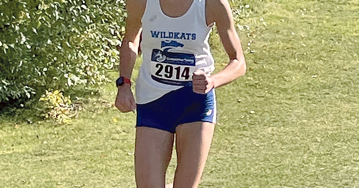 Harriers tune up in Helena for Divisionals | Hungry Horse News