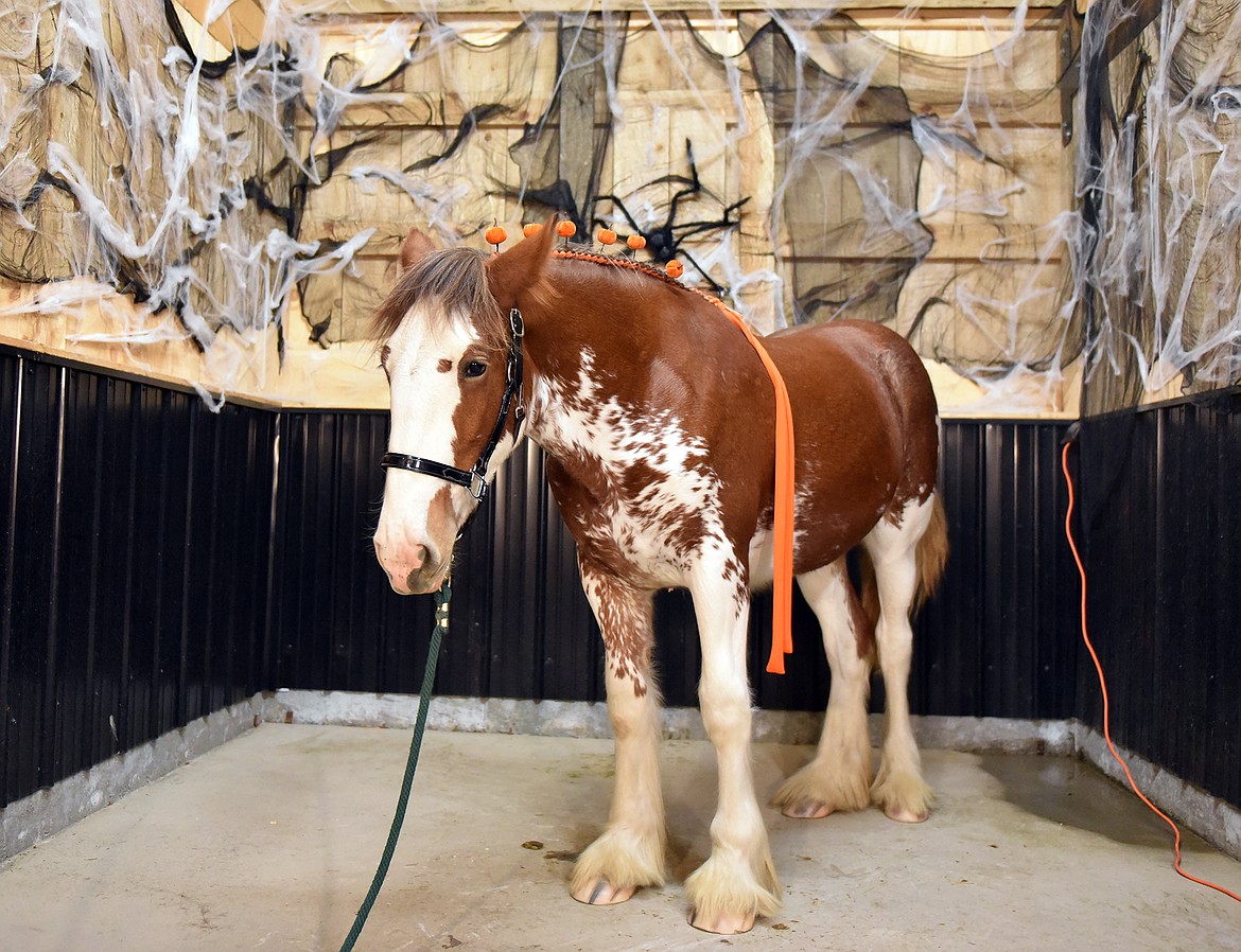 Hayrides, horses and Halloween at Clydesdale Outpost | Whitefish Pilot