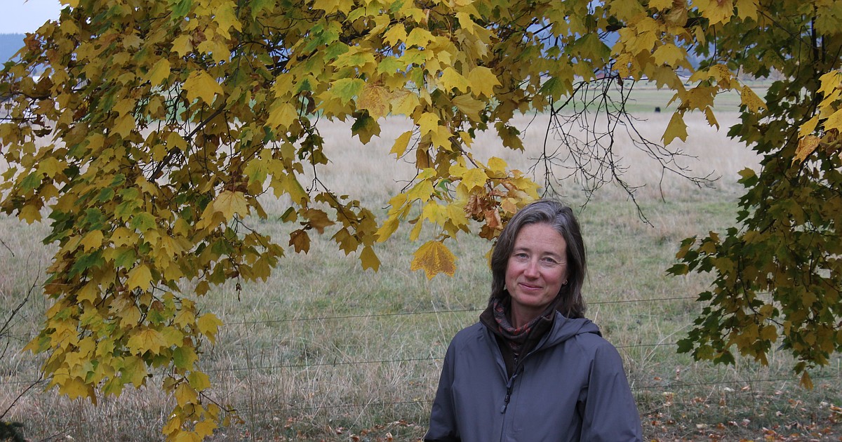Proposed open-pit gravel mine controversial among Arlee residents ...