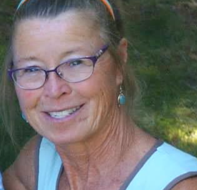 Meet the candidate: Colleen Hinds, Democrat for HD13 | Valley Press ...