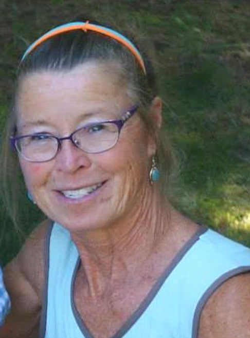 Meet the candidate: Colleen Hinds, Democrat for HD13 | Valley Press ...