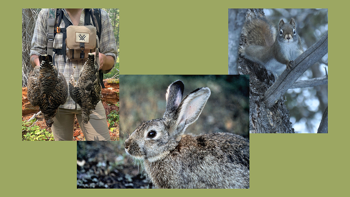 Top 3 small game species to hunt this fall and winter | Coeur d'Alene Press