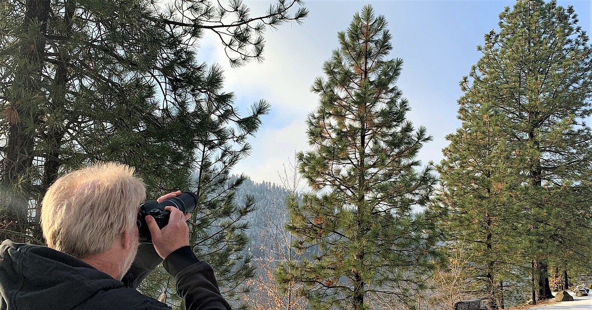 Eagles swoop, soar over Lake Cd'A | Coeur d'Alene Press