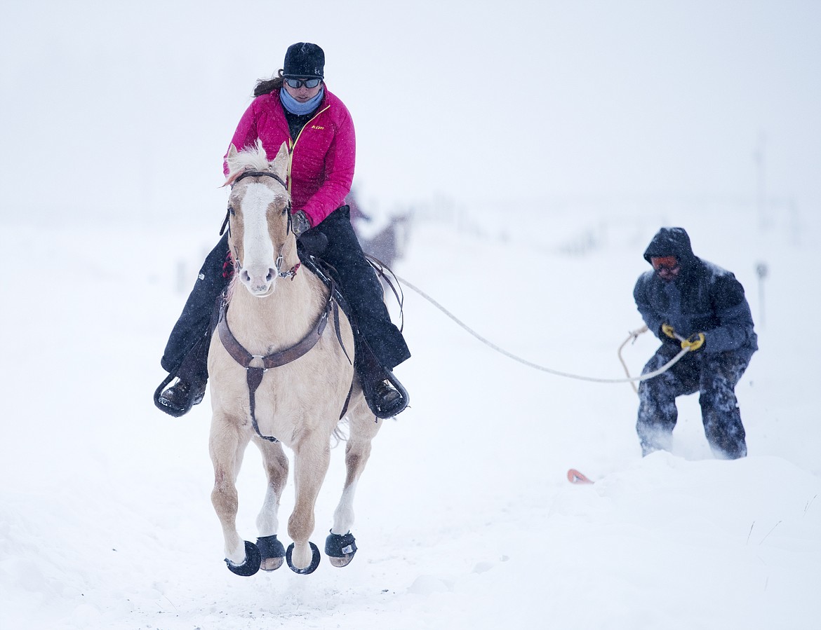 Sapa Farm will host upcoming Skijoring Event | Hungry Horse News