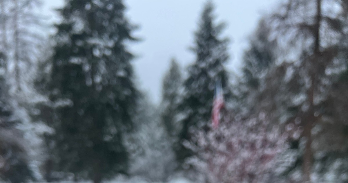 Eggflation: St. Regis farm sees boost in egg sales | Valley Press ...