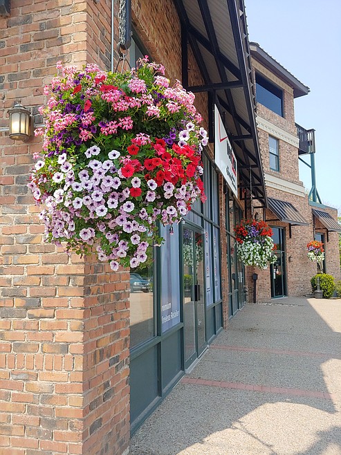 Flower Power needed to fill summer baskets | Lake County Leader