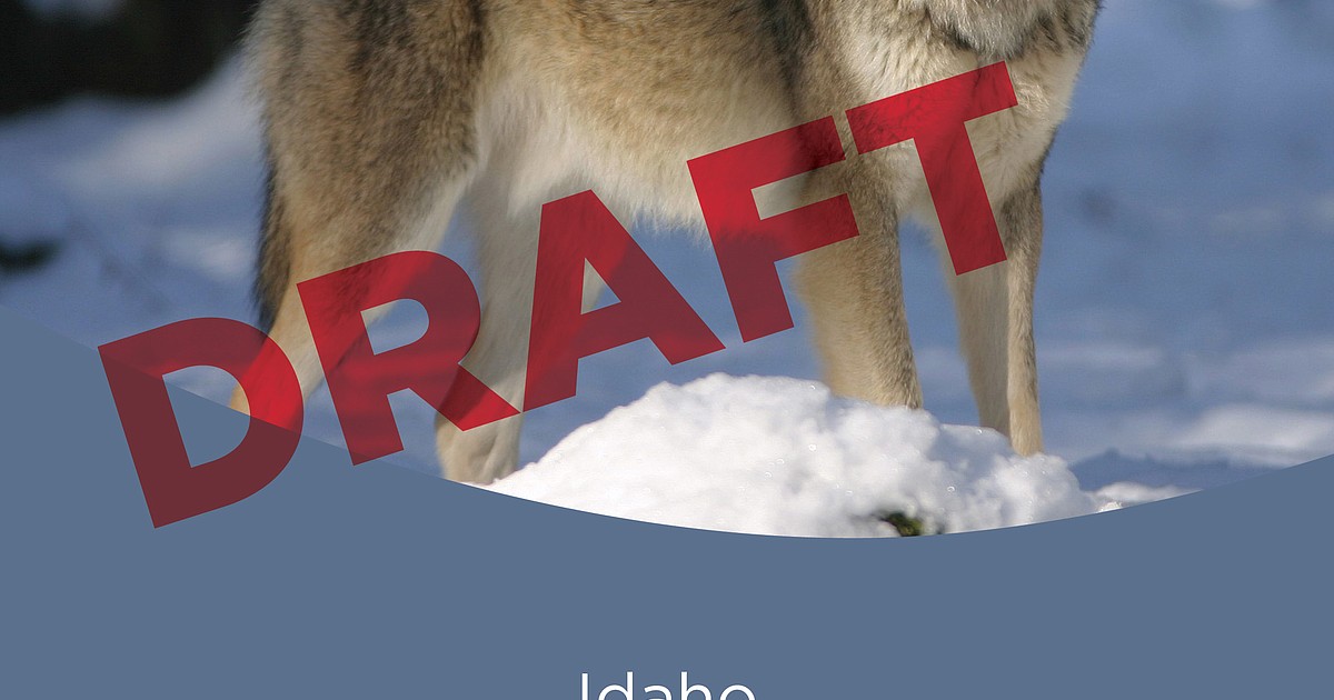 Gray wolf management plan opens for comment | Coeur d'Alene Press