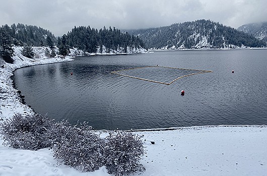 Plan eyes leaking dozer at Higgens Point | Coeur d'Alene Press