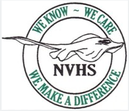 Students want to help you with your smartphone | Coeur d'Alene Press