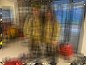 1,356 steps: Lapinski brothers take on firefighter challenge | Valley ...