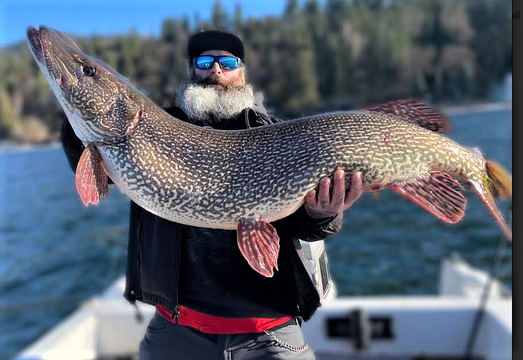 A really big fish story | Coeur d'Alene Press