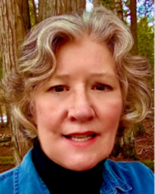 Library hosting candidates forum | Bonner County Daily Bee