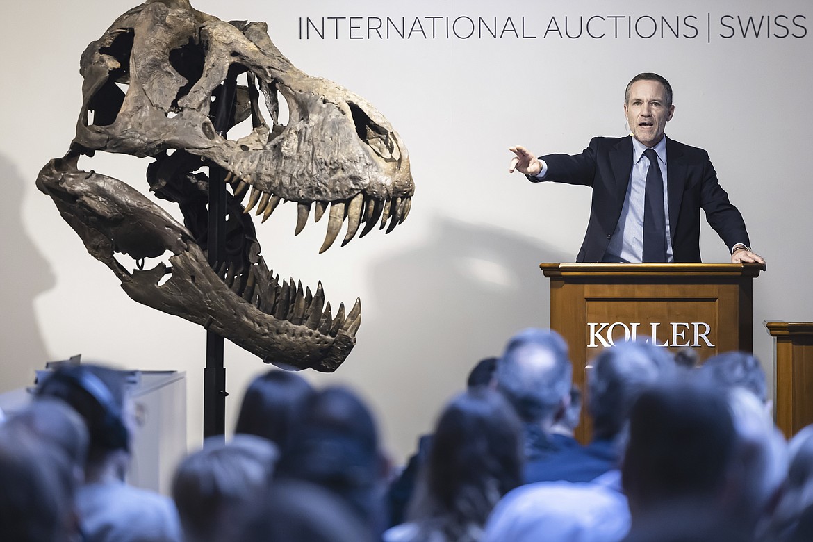 T Rex Skeleton Expected To Fetch Millions At Zurich Auction Coeur D